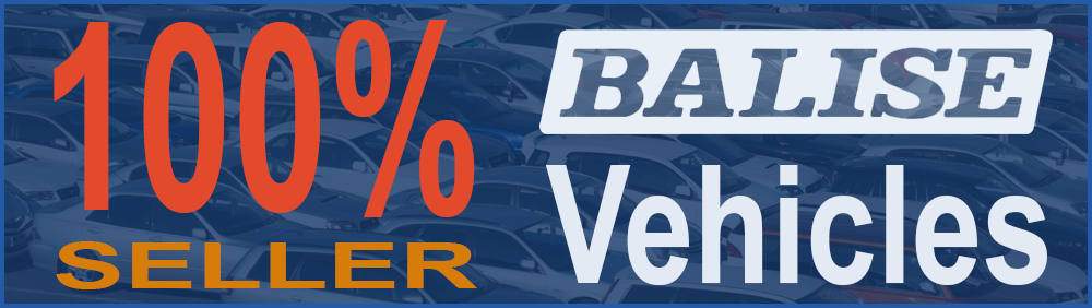 Statewide Auto Auction